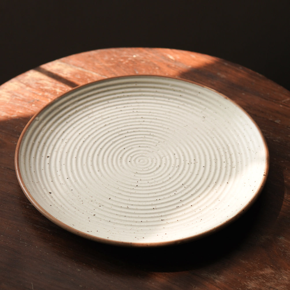 Classic Dinner Plate - Set of 2 – The Home Products Company